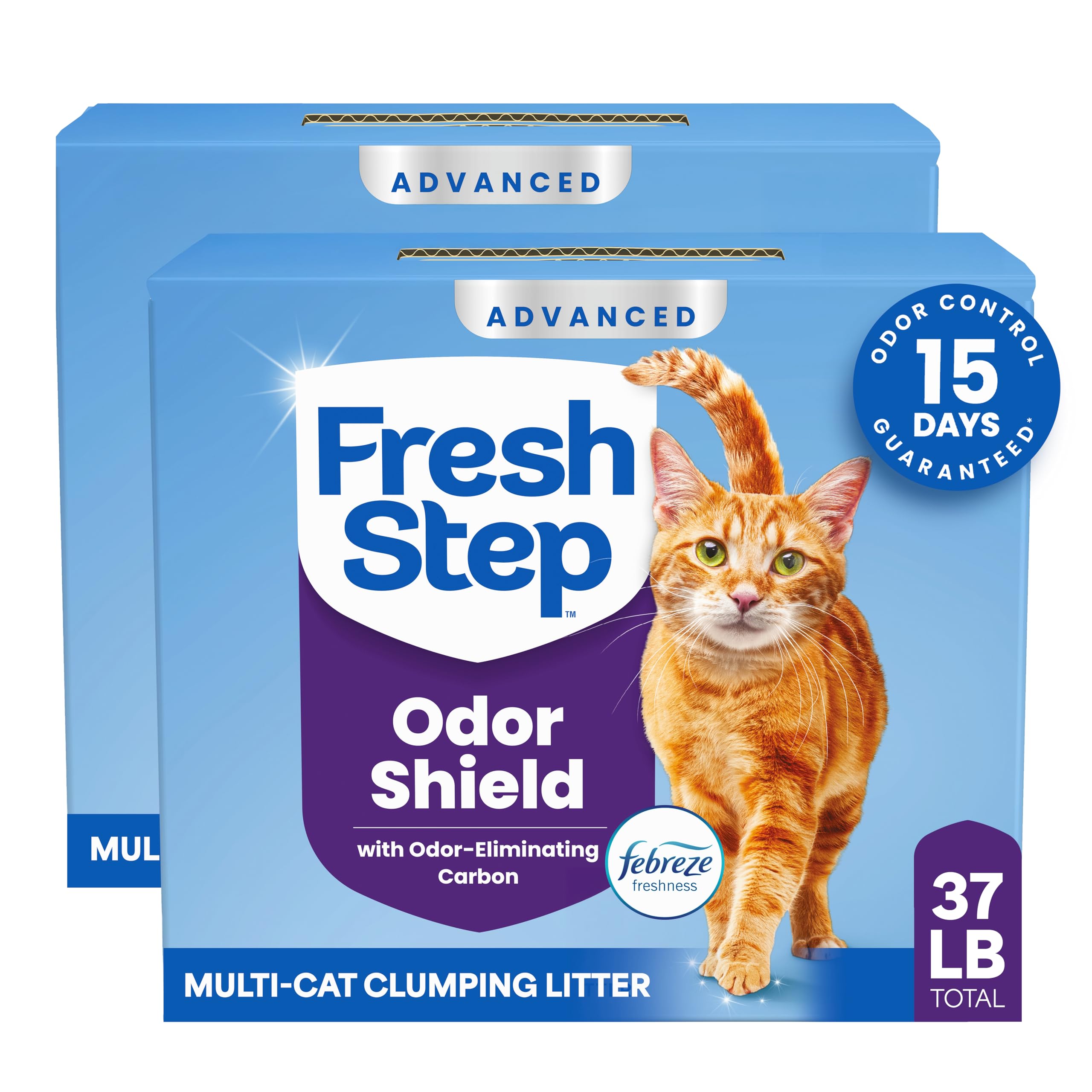 5 Best Clumping Cat Litter | Zero Dust, Hard Clumps