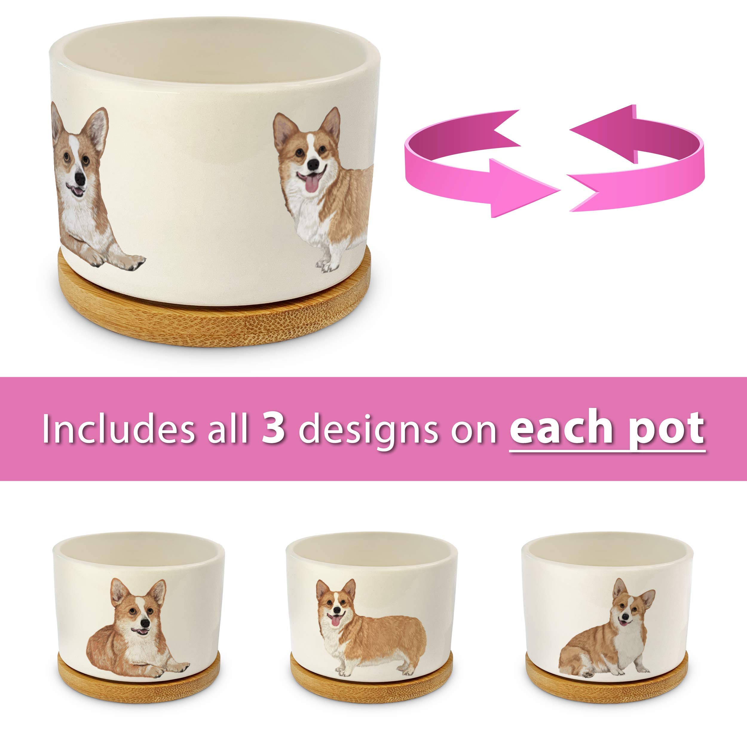 GIFTAGIRL Corgi Gifts for Corgi Lovers - Perfect Corgi Decor Birthday ...