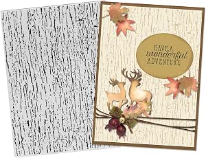 Amazon.com: 3D Textured Embossing Folders for Card Making, Wooden Lace ...
