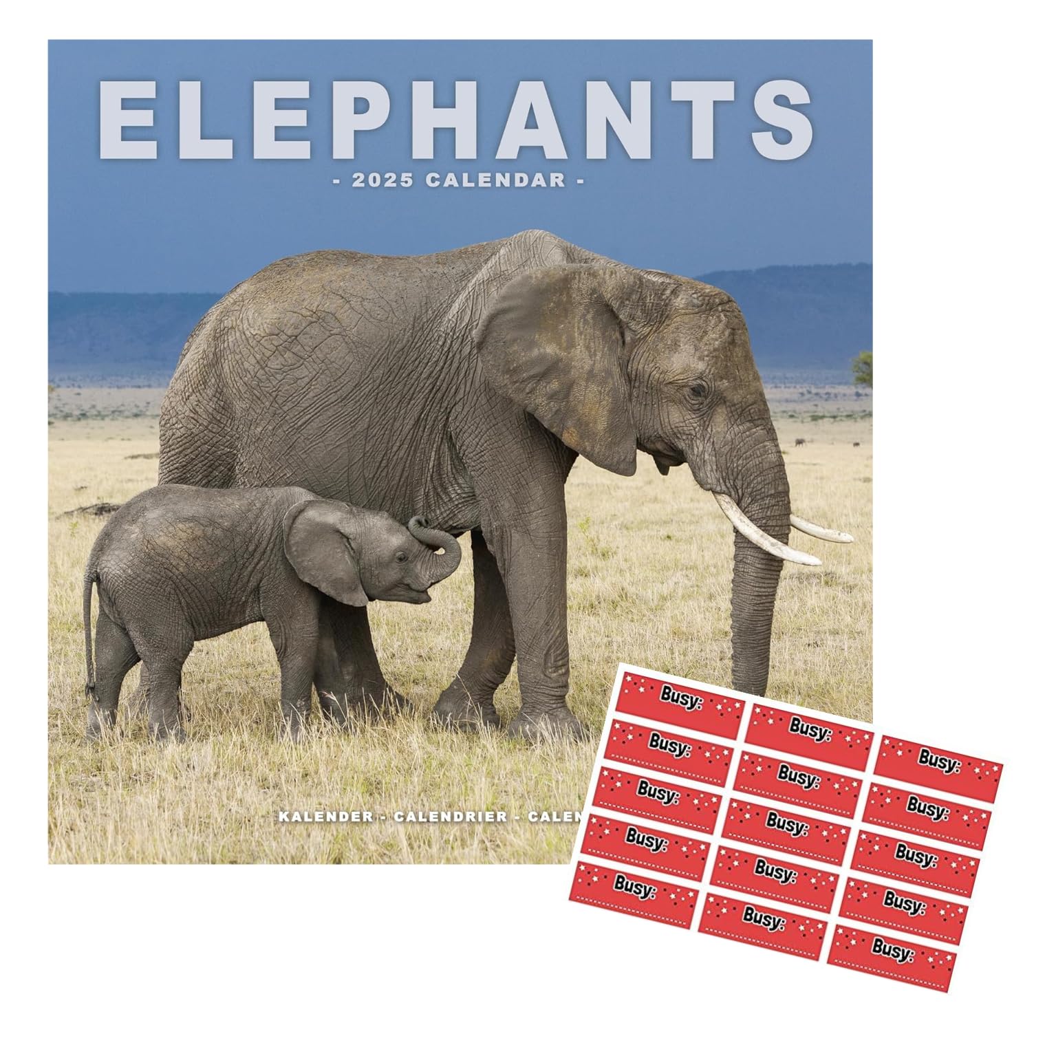 Elephants Calendar 2025 | 16 months | with FREE Organisational Stickers ...