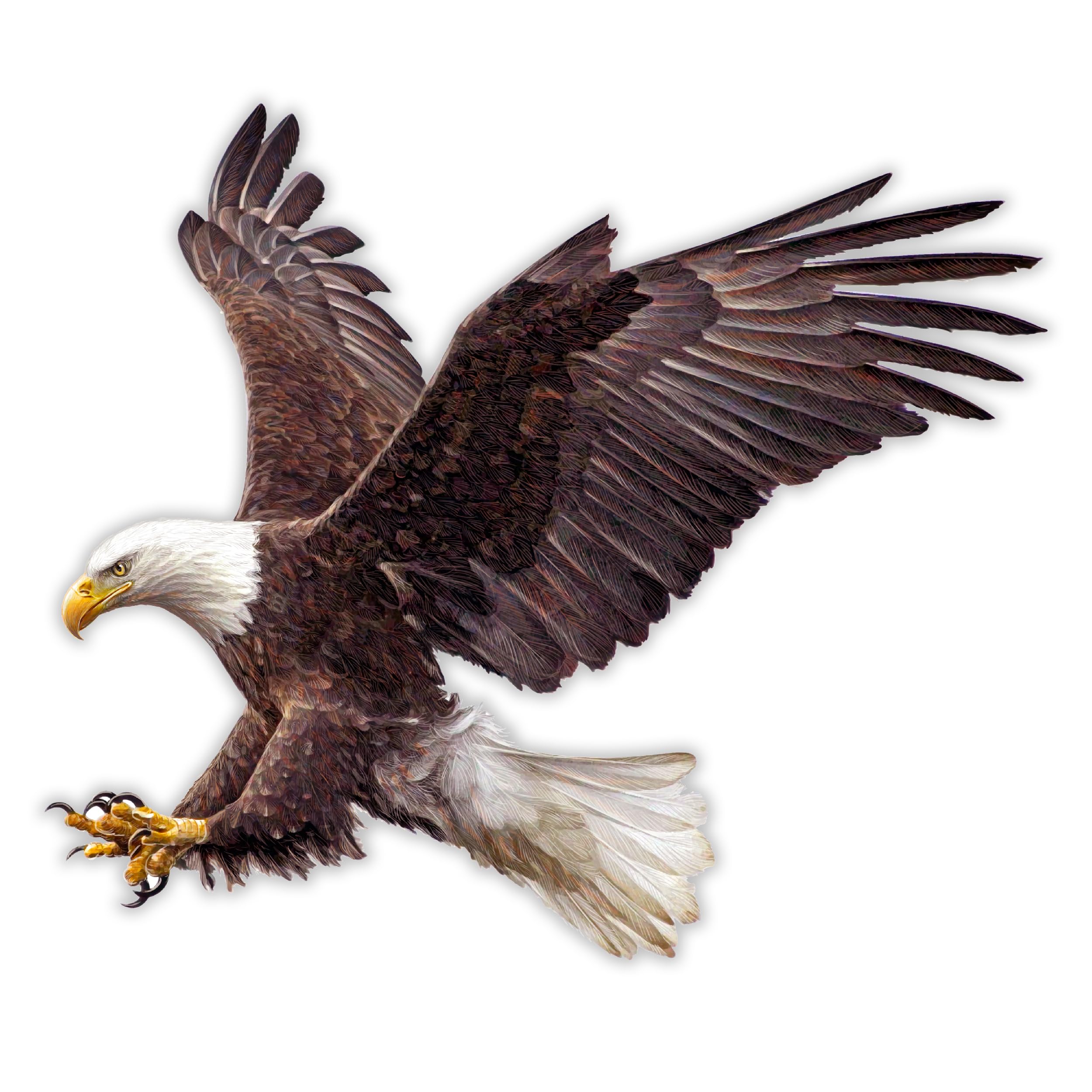 Amazon.com - Bald Eagle Vinyl Sticker - in Action Landing Catch Prey ...