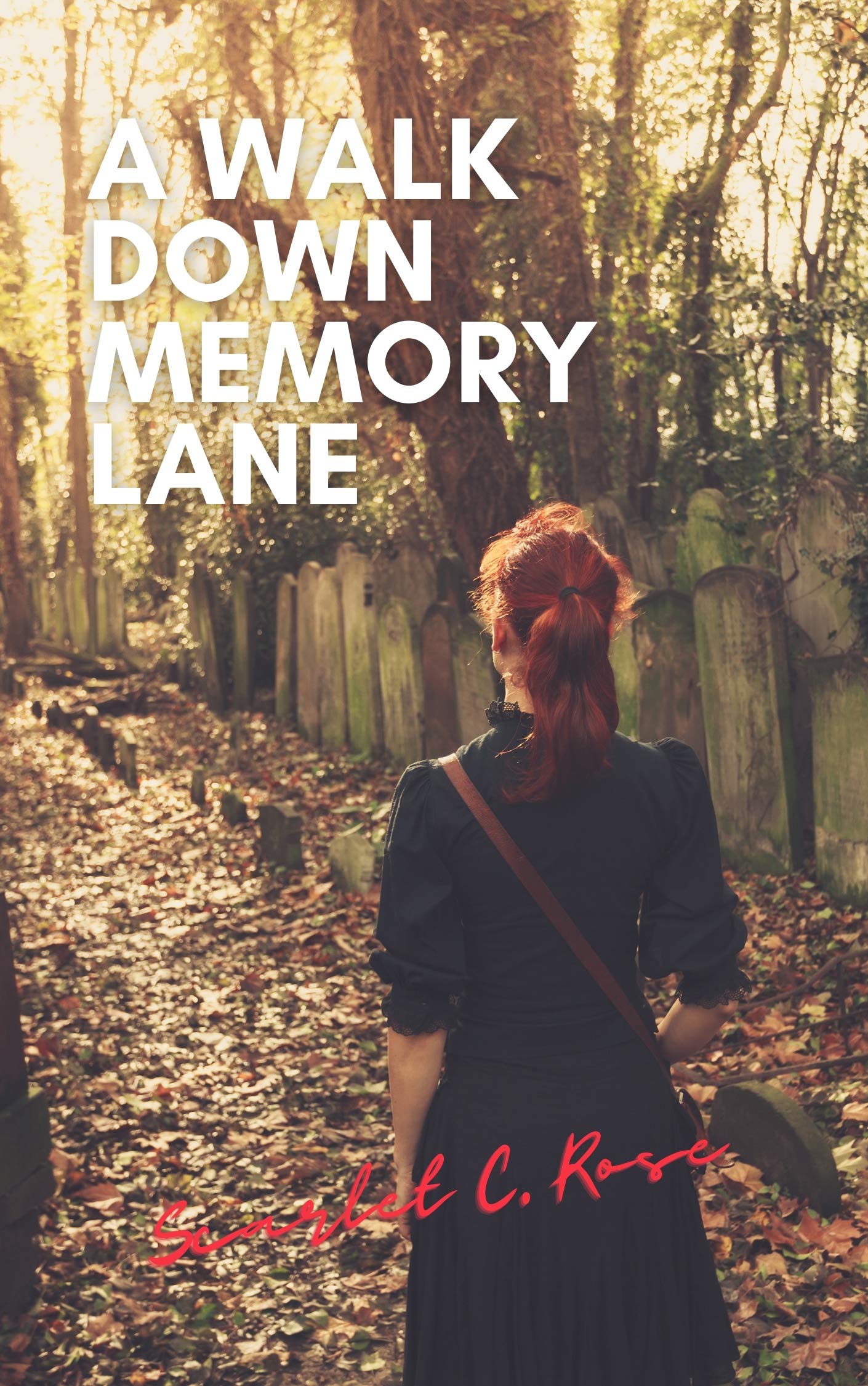 Walking Down Memory Lane Quotes Amazon.com: Remember When... A Walk