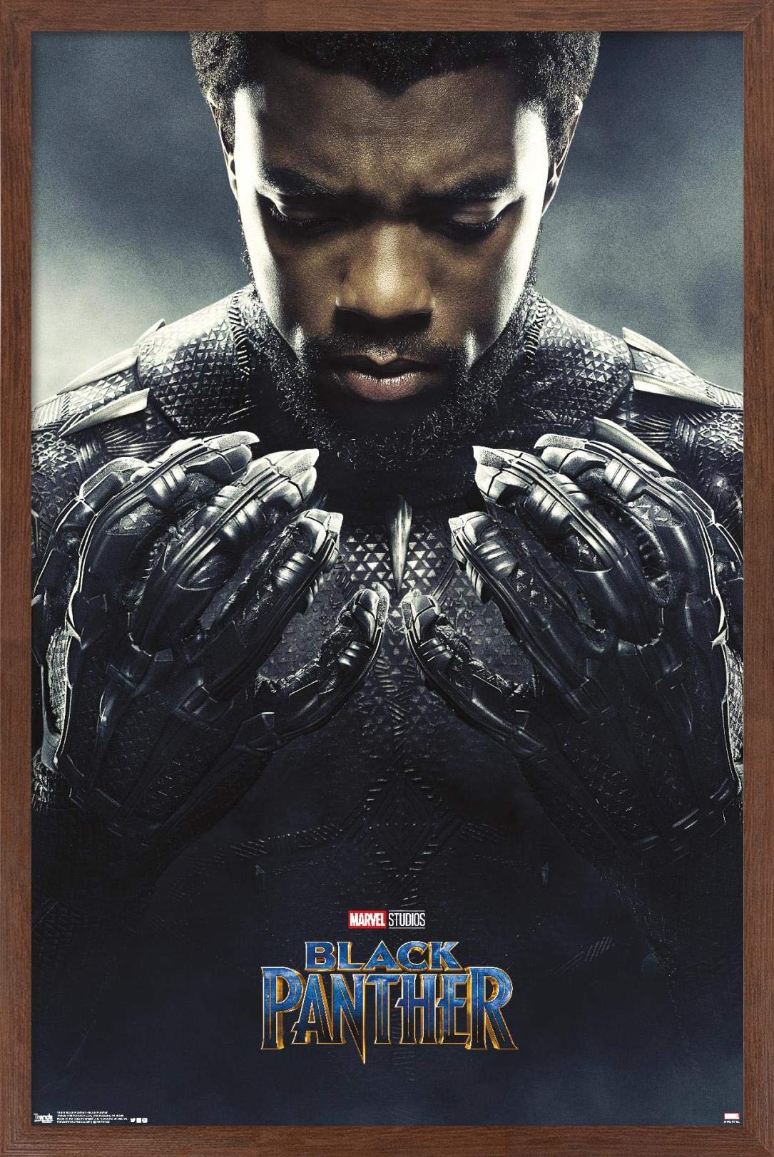 Amazon.com: Trends International Marvel Cinematic Universe Black ...