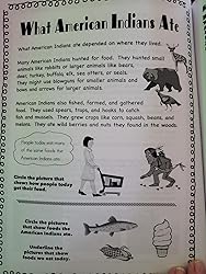 Amazon.com: Gallopade Second Grade Essentials for Social Studies ...