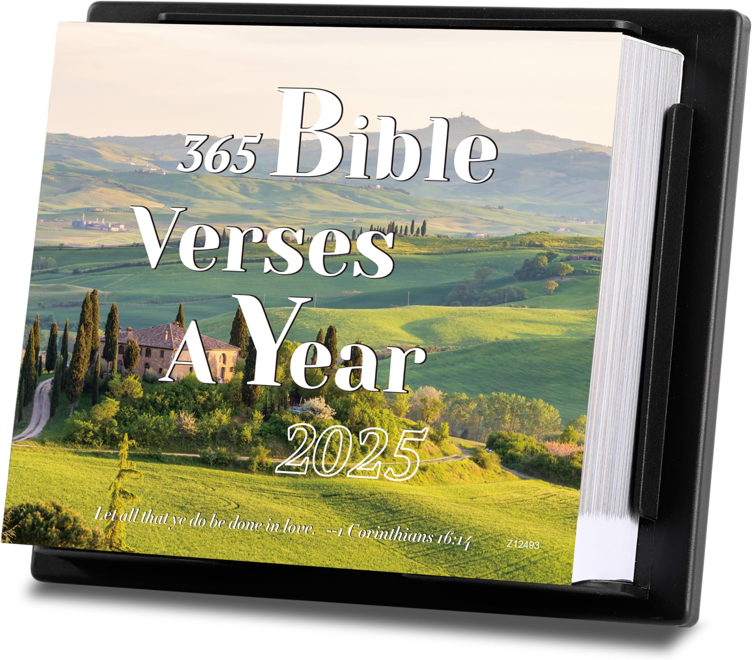 Amazon.com : 2025 Bible Calendar - Bible Verses Calendar 2025 from Jan ...