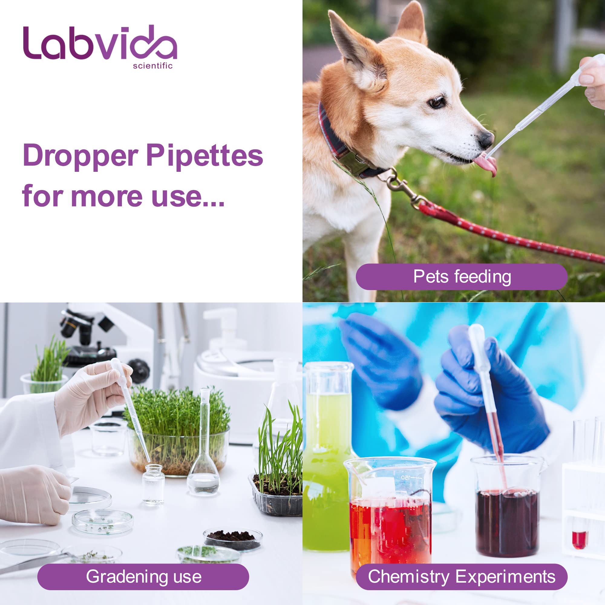 Snapklik.com : 1000pcs Of Disposable Pipettes Vol7ml, Plastic Transfer ...