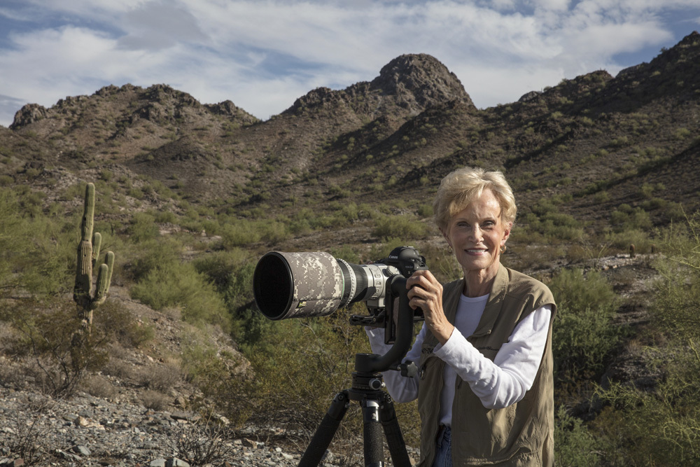 Amazon.com: Carol Gray: books, biography, latest update