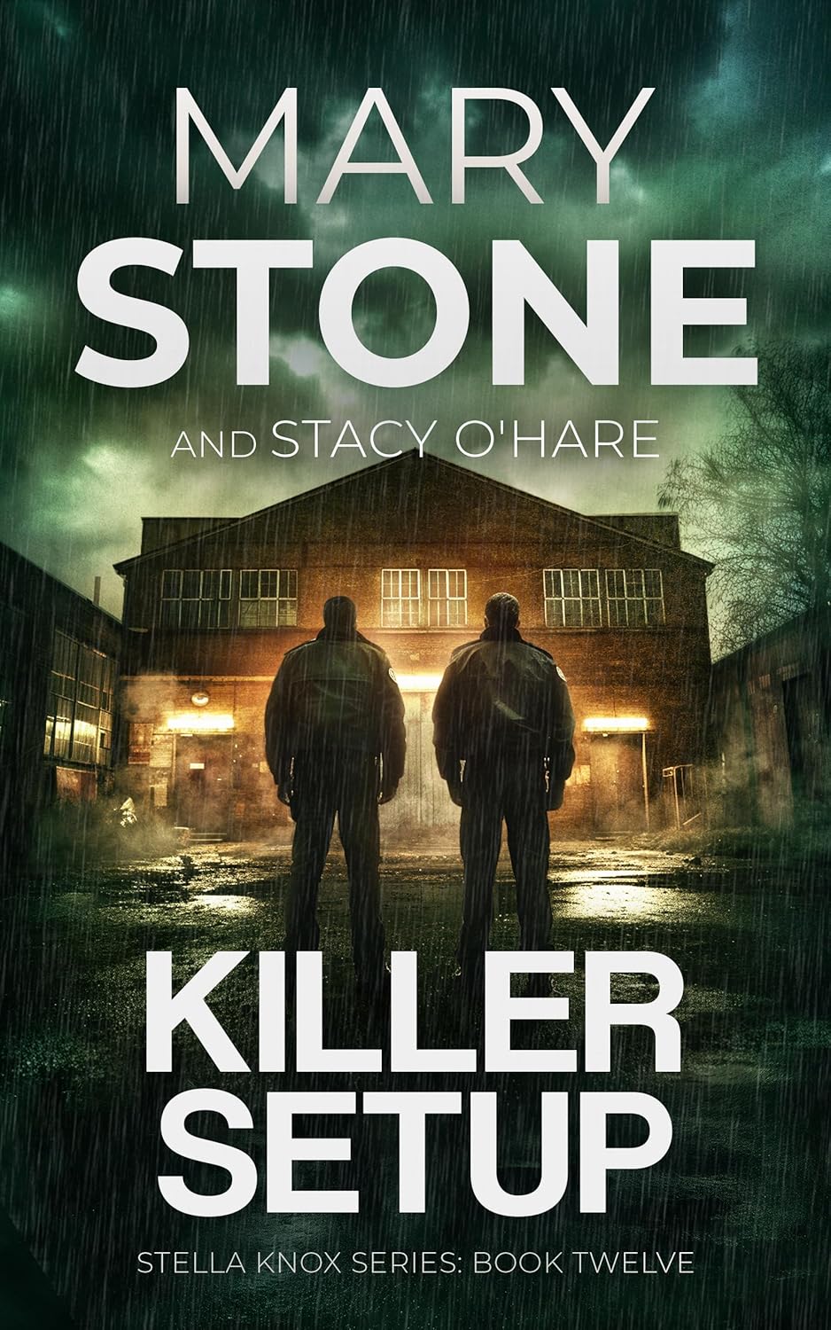 Killer Setup (Stella Knox FBI Mystery Series Book 12) eBook : Stone, Mary: Amazon.com.au: Books