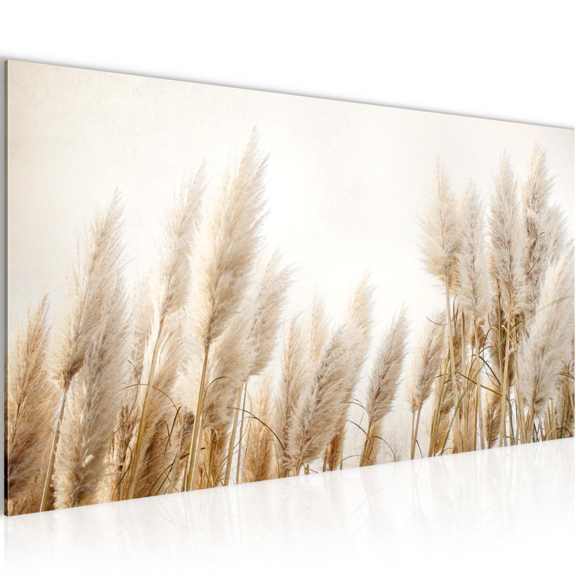 Amazon.de: Runa Art Wandbild Boho pampasgras 1 Teilig 100 x 40 cm ...