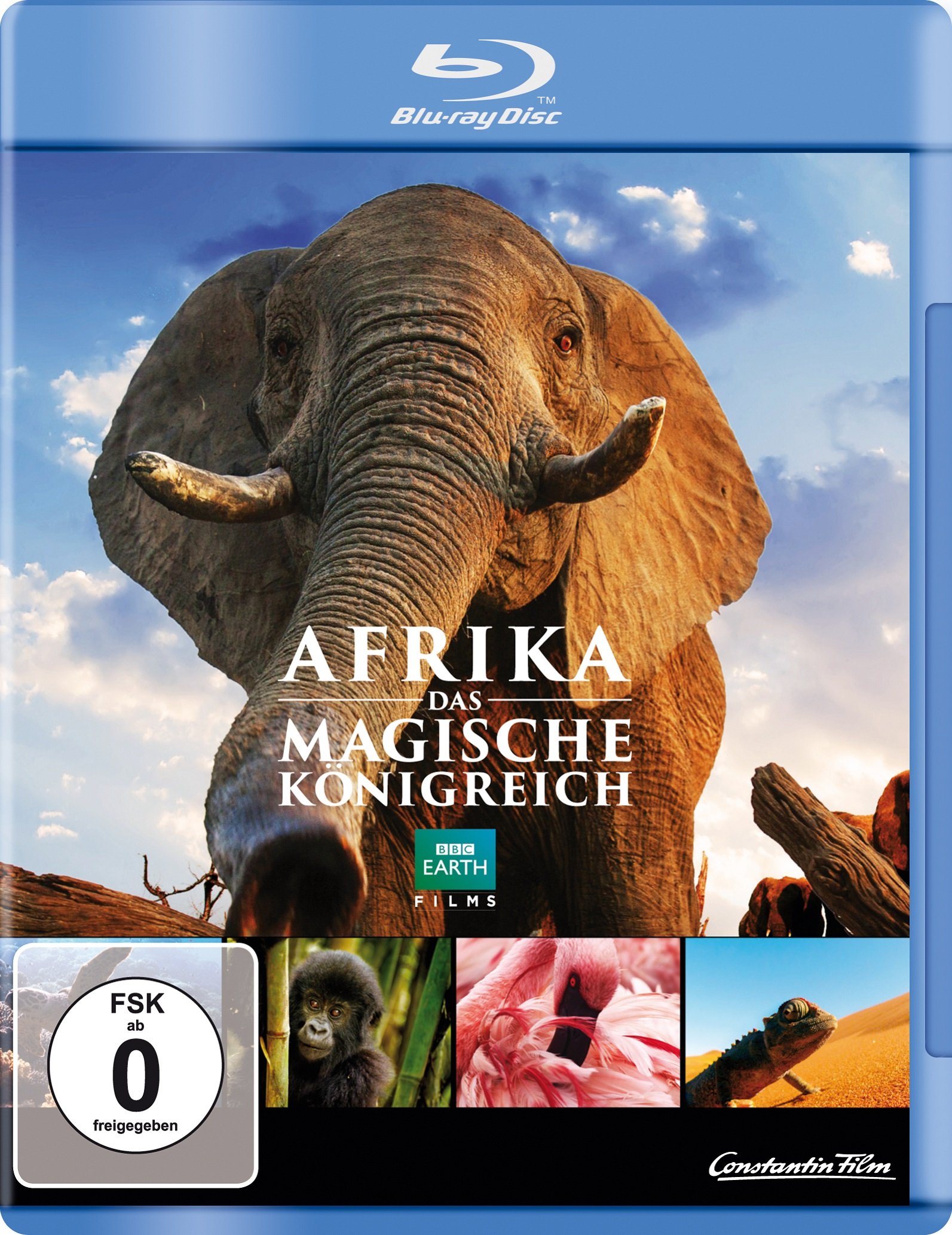 Afrika - Das magische Königreich [Blu-ray]: Amazon.de: Morris, Patrick ...