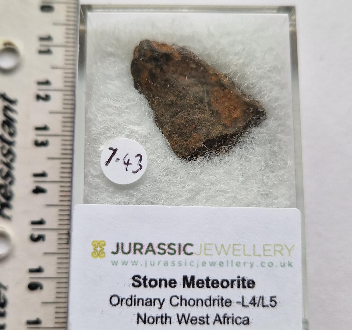 Jurassic Jewellery Boxed Stone Chondrite Meteorite - 7.43 Grams - NEW ...