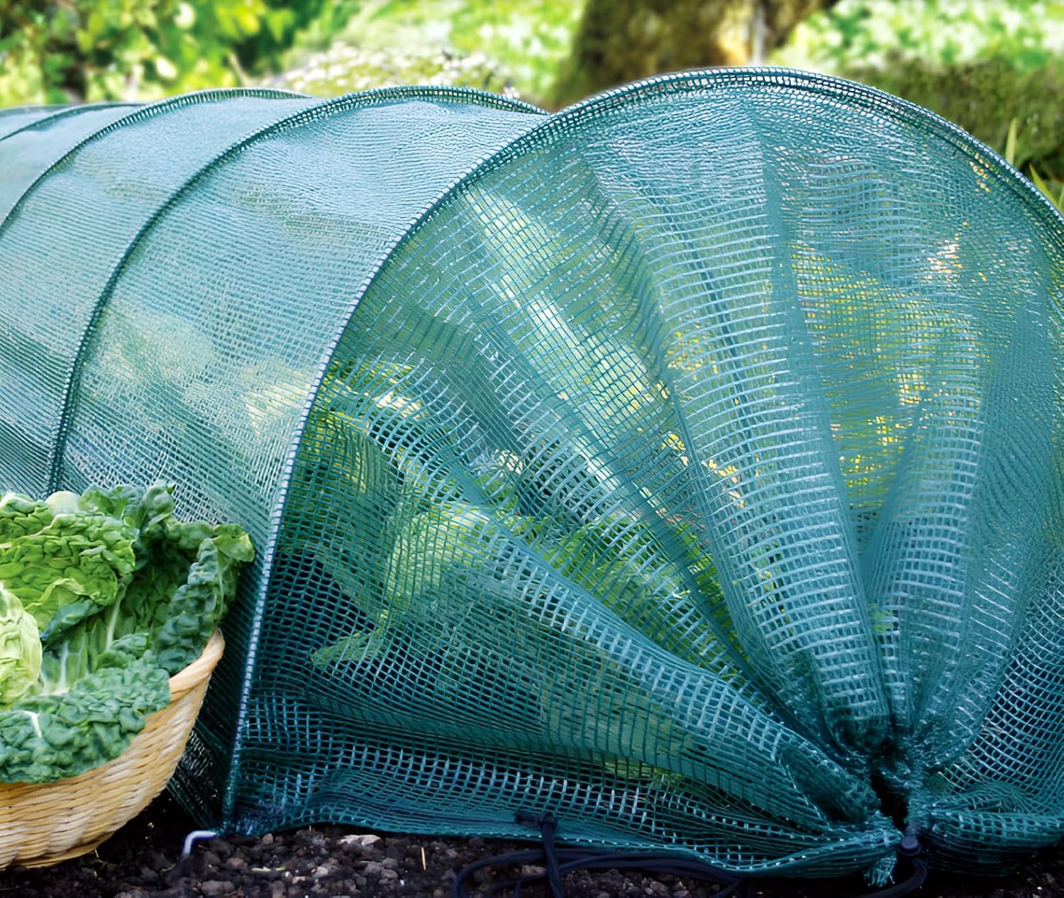Garden netting,garden cloche,cloches for growing vegetables, suitable ...