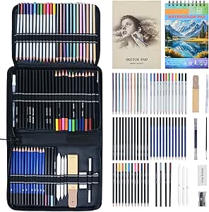 Amazon.com: Ninonly Art Supplies Kit, Sketching & Drawing Supplies Kit with Graphite Color ...