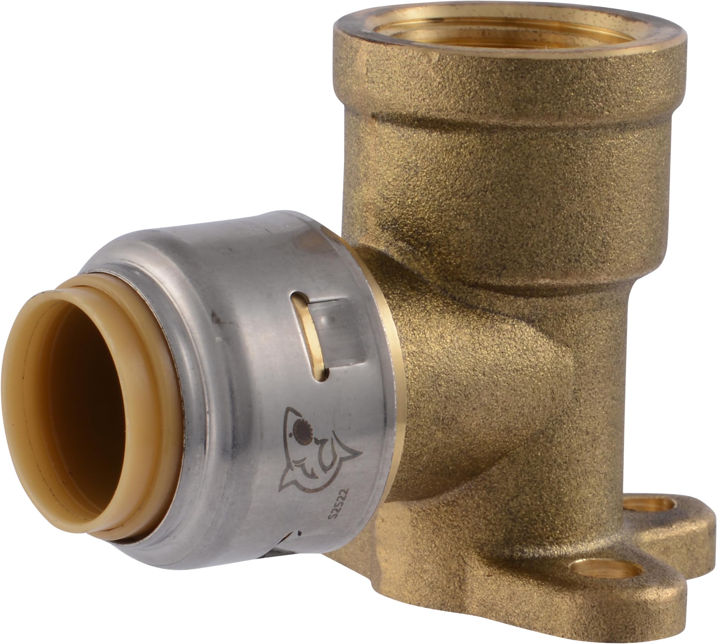 Amazon.com: JoyTube Stainless 1/2" Female NPT x 1/2" NPT Female Fixed ...