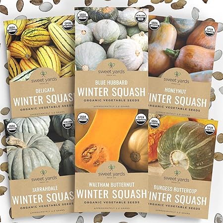 Amazon.com : Squash Seeds for Planting 5 Individual Packets - Zucchini ...