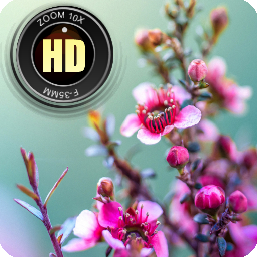 Flower HD Wallpapers - App on Amazon Appstore