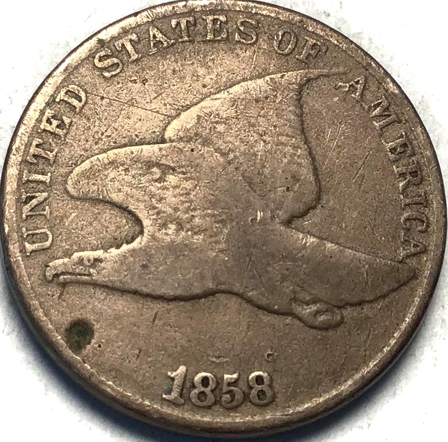 1858 P Flying Eagle Cent Large Letters Penny Seller Good at Amazon's ...