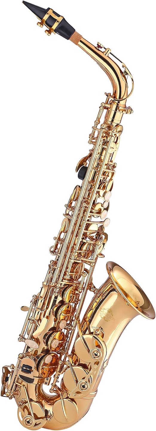 Amazon.com: Kaizer Alto Saxophone E Flat Eb Gold Lacquer Includes Case ...
