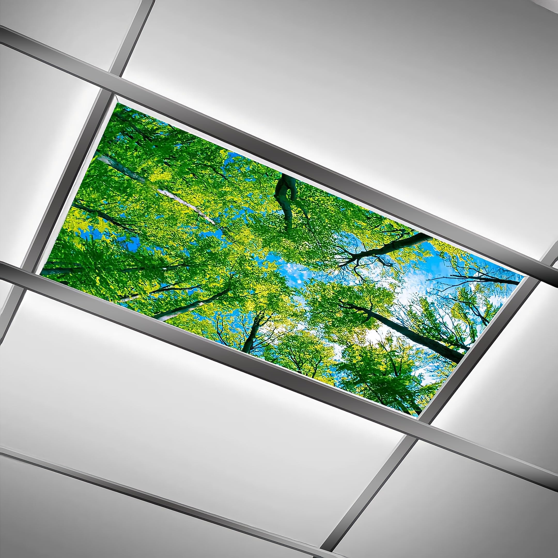 Amazon.com: DIQISHIZHU Fluorescent Light Covers for Classroom Office ...