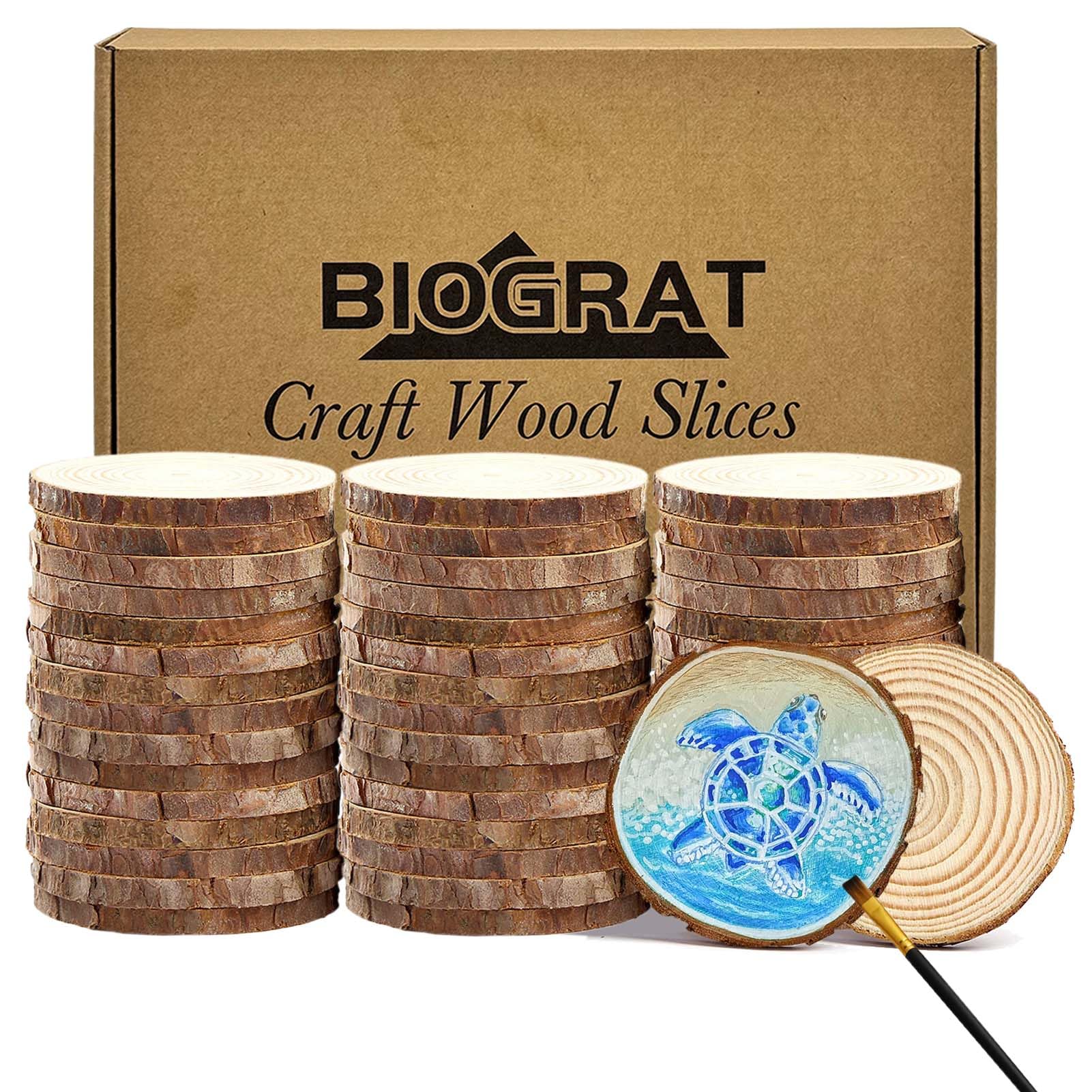 Amazon.com: 3 Inch Wood Slices Discs Ornaments for Crafts, 45 Pcs 2.8-3 ...