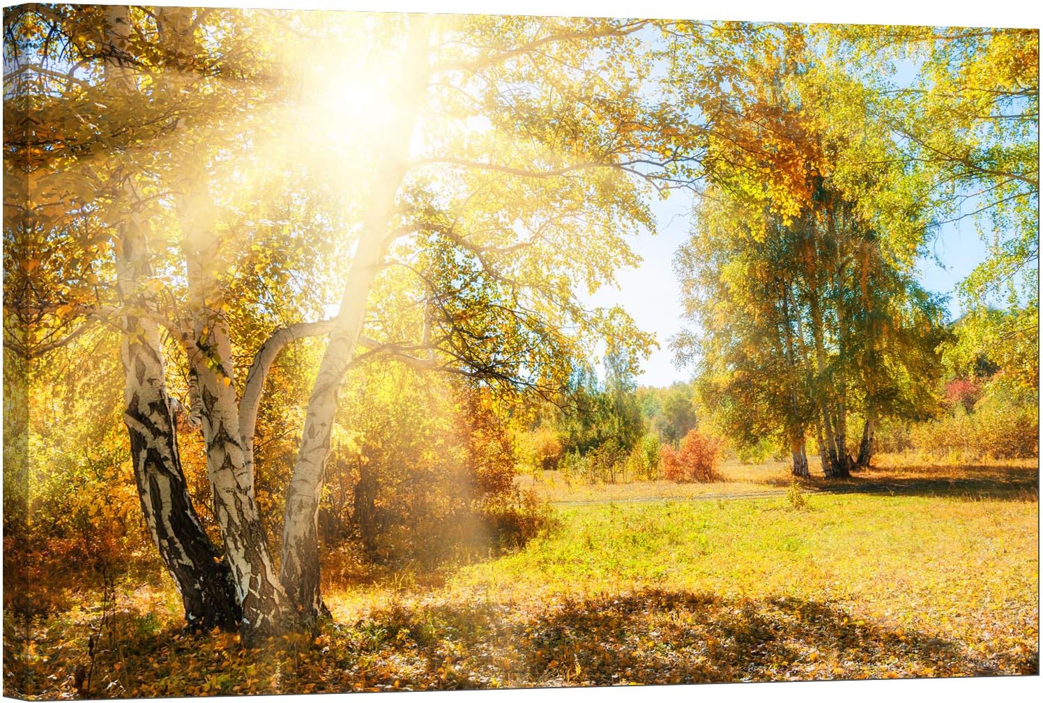 Amazon.com: LightFairy Wall Art for Living Room - Glow in The Dark ...