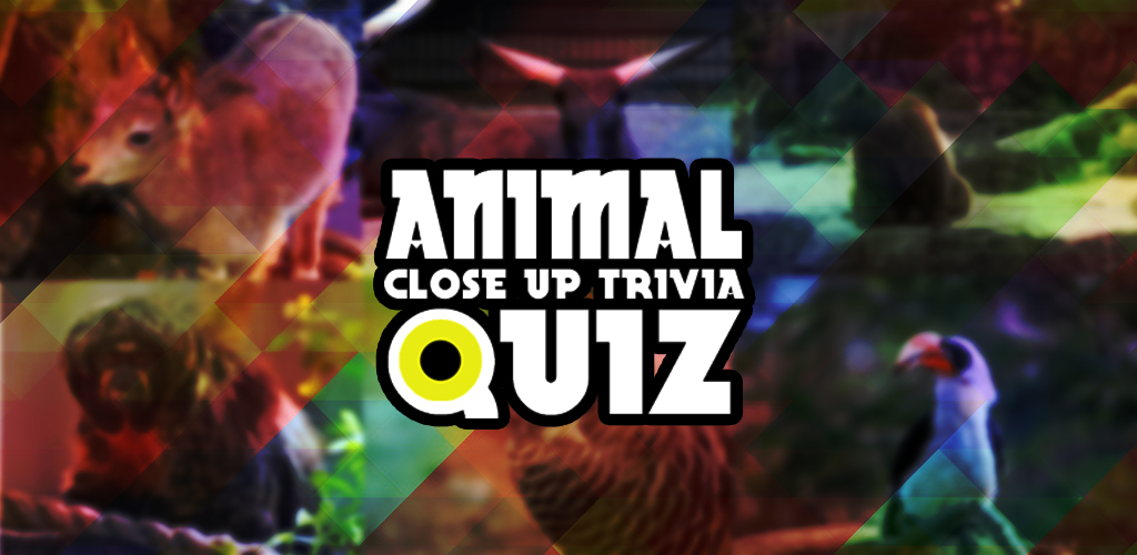 Animal Close Up Trivia Quiz - App on Amazon Appstore