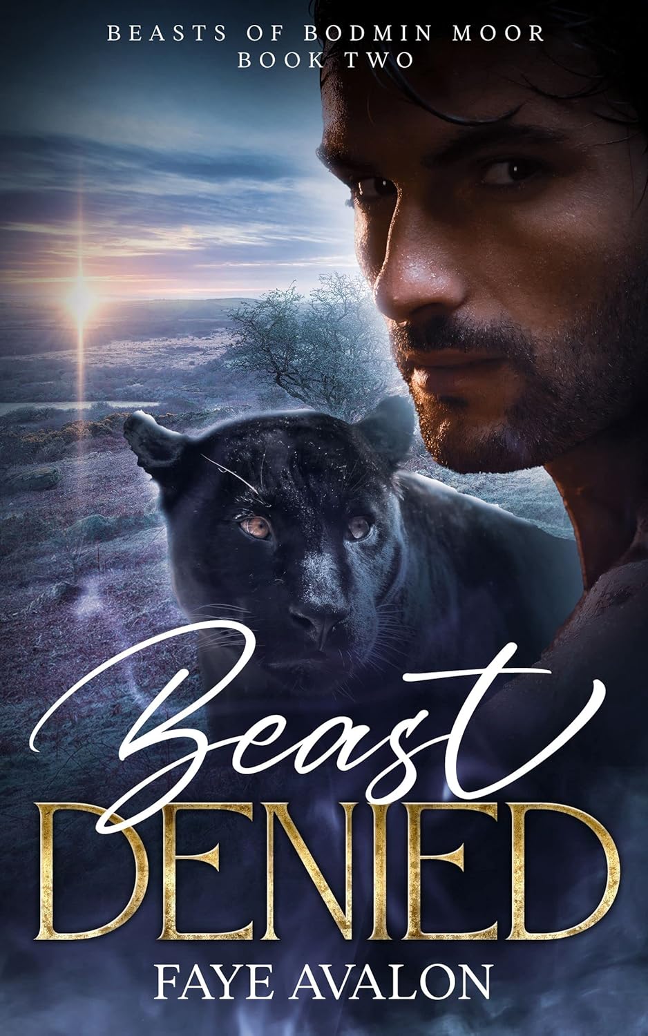 Amazon.com: Beast Denied (Beasts of Bodmin Moor Book 2) eBook : Avalon ...
