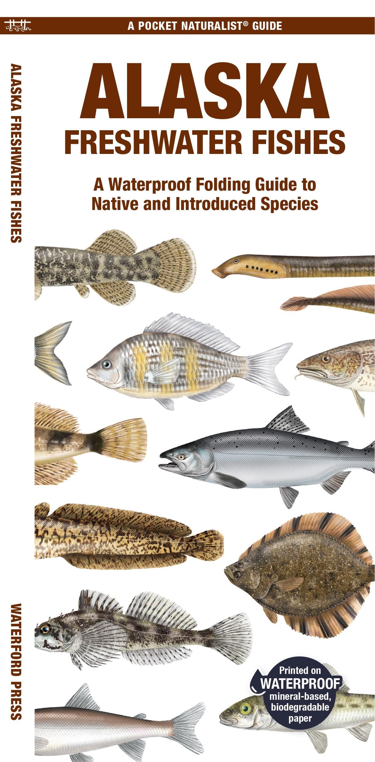 Alaska Freshwater Fishes: A Folding Guide to Native and Introduced ...