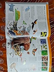 Knowledge Encyclopedia Animal! : DK, Woodward, John: Amazon.in: Books
