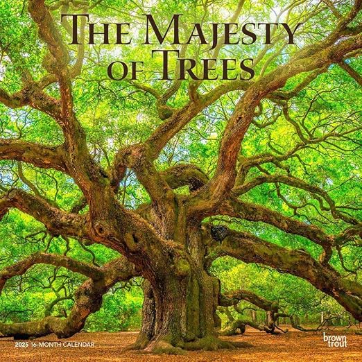 The Majesty of Trees | 2025 12 x 24 Inch Monthly Square Wall Calendar ...
