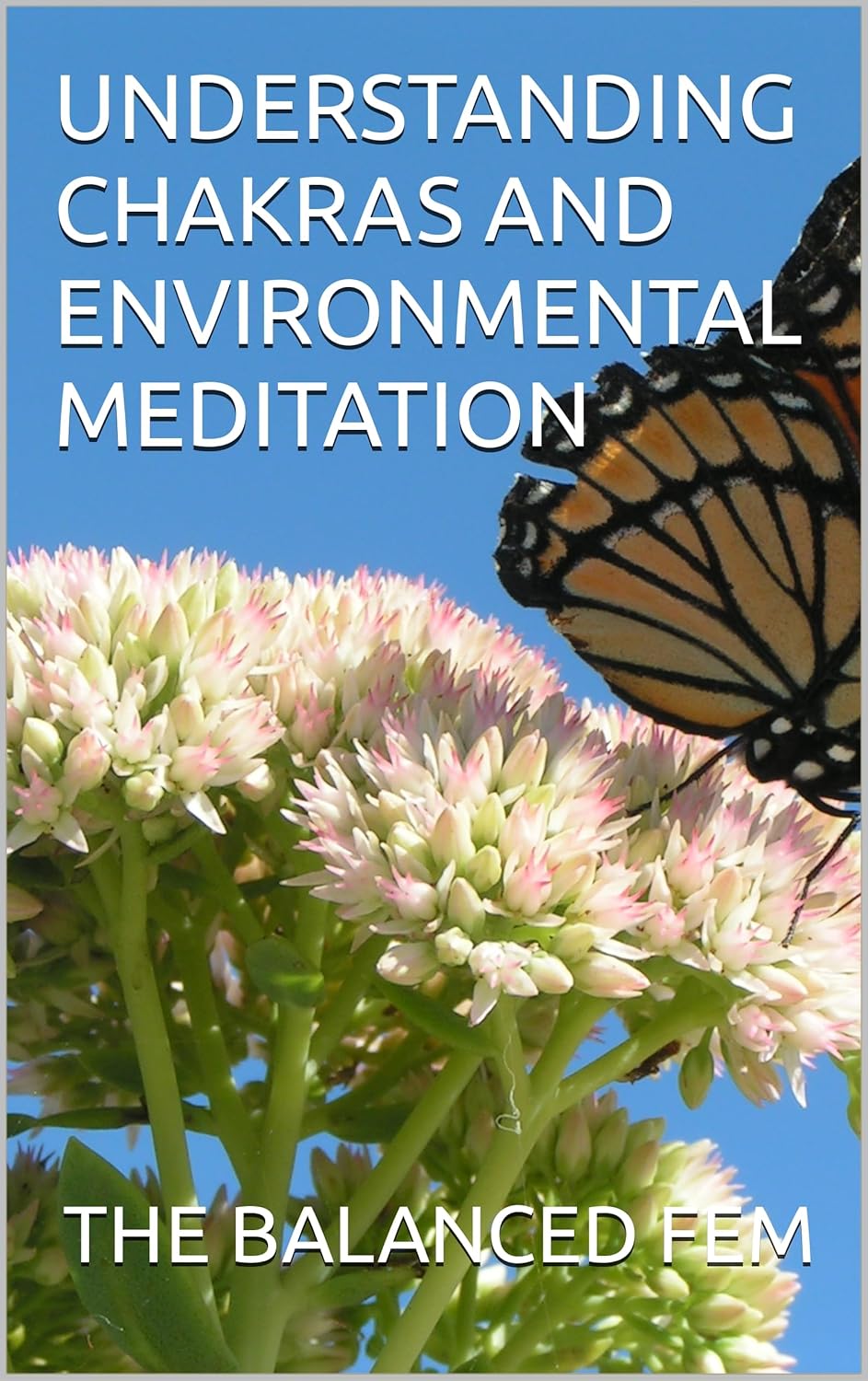 Amazon.com: Understanding Chakras and Environmental Meditation (The ...