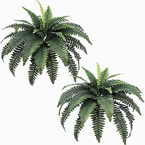 Amazon.com: CongfuHepMui Artificial Ferns for Outdoors & Indoors 33 ...
