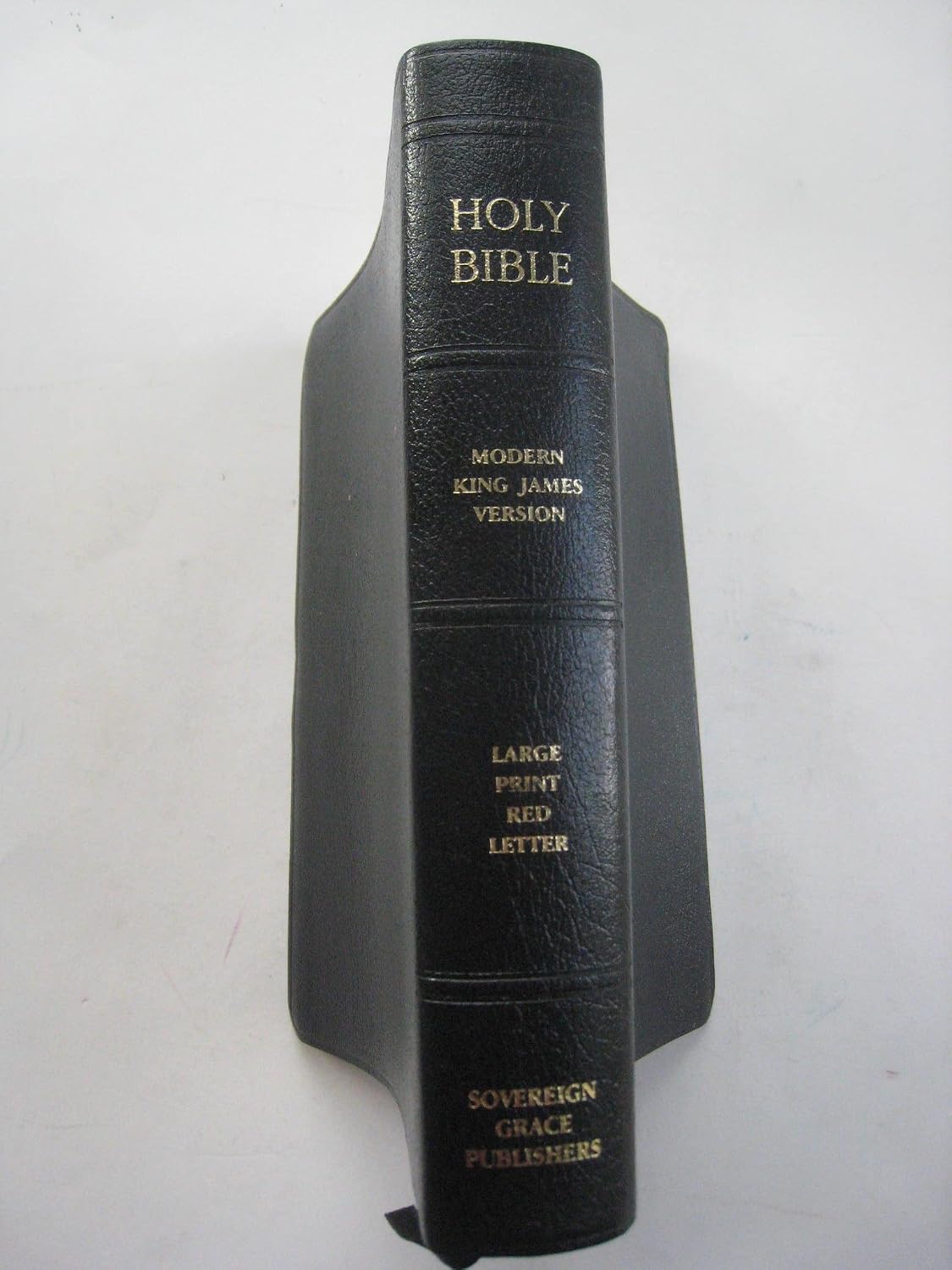 Modern King James Version of the Holy Bible: J. P. Green, Sr ...