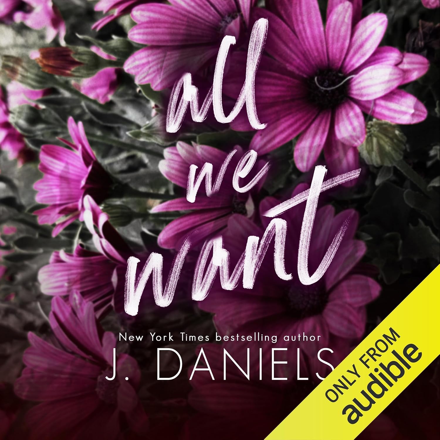 Amazon.com: All We Want (Audible Audio Edition): J. Daniels, Eric ...