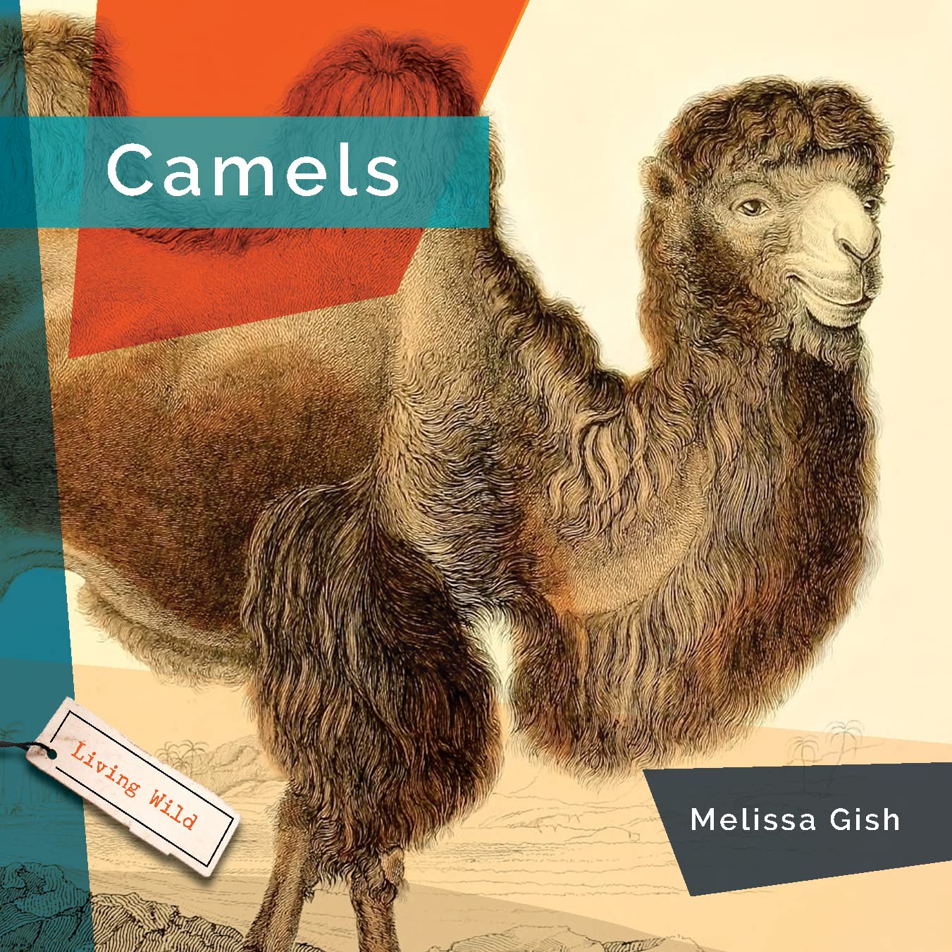 Camels (Living Wild): Gish, Melissa: 9781682771518: Amazon.com: Books