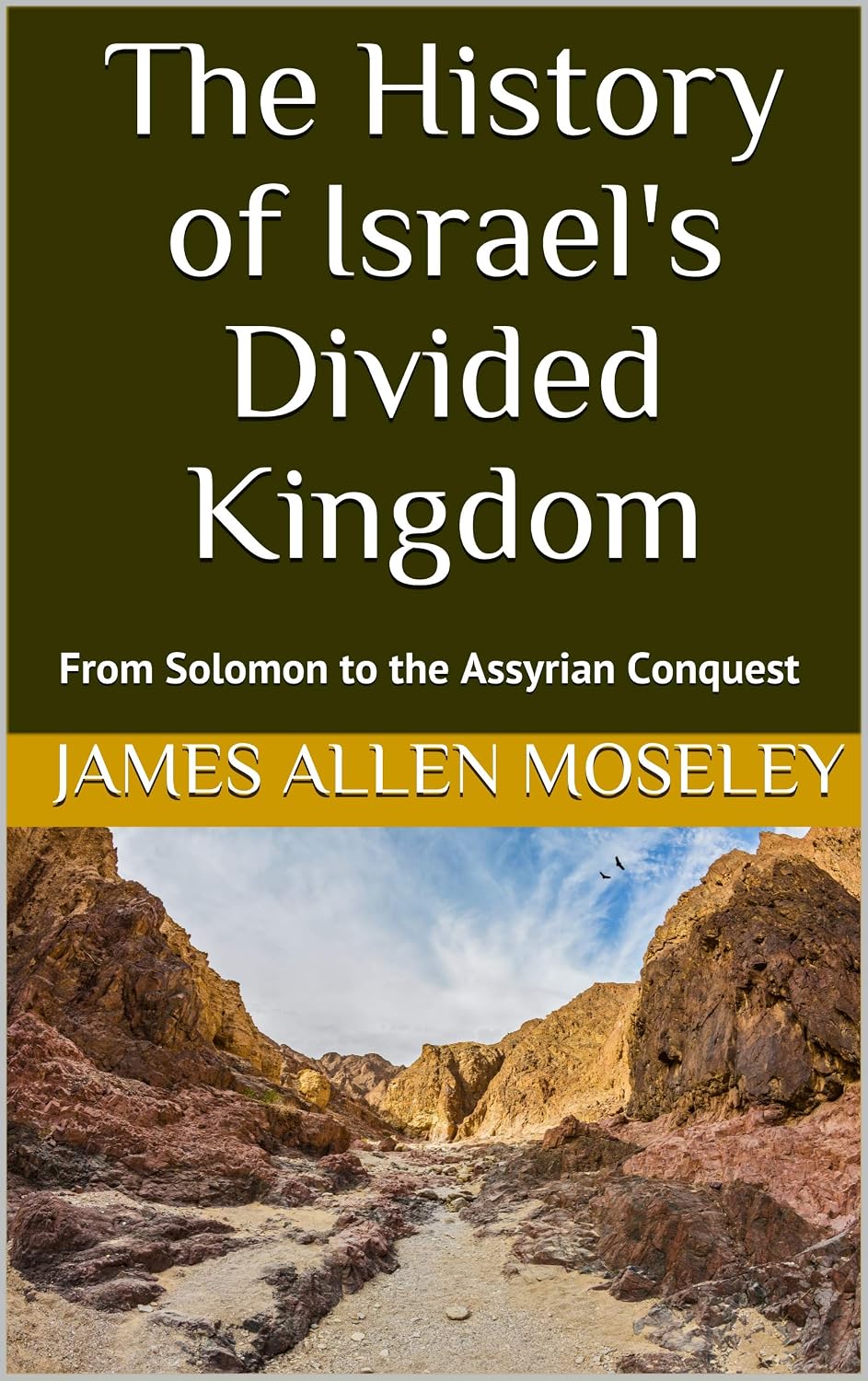 The History of Israel's Divided Kingdom: From Solomon to the Assyrian ...