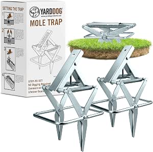 Amazon.com : YARDDOG Mole Scissor Trap, Step-to-Set Ground Trap, Easy ...