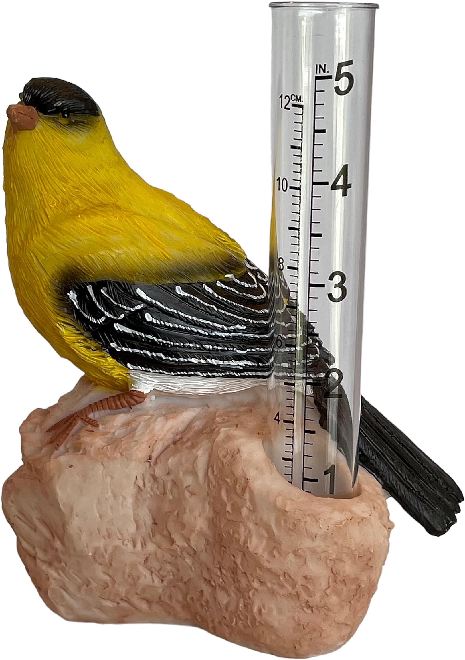 Amazon.com : The Bridge Collection Resin Cardinal Garden Rain Gauge ...