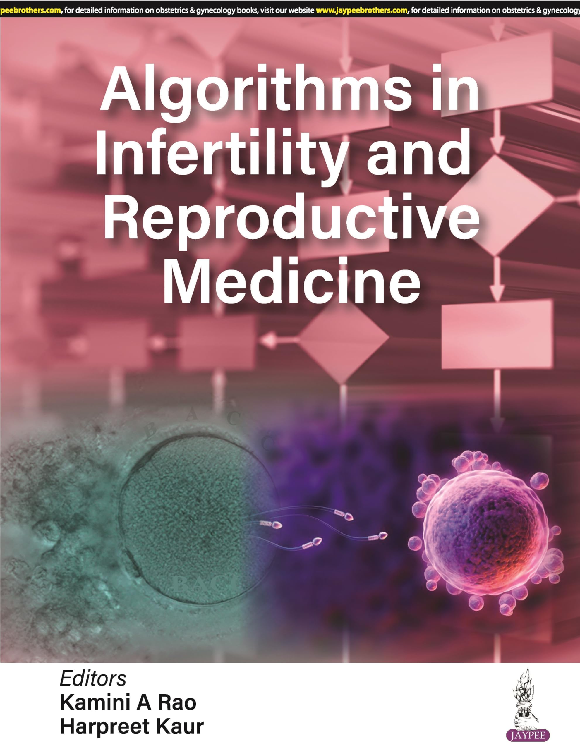 Algorithms in Infertility and Reproductive Medicine: Rao, Kamini A ...