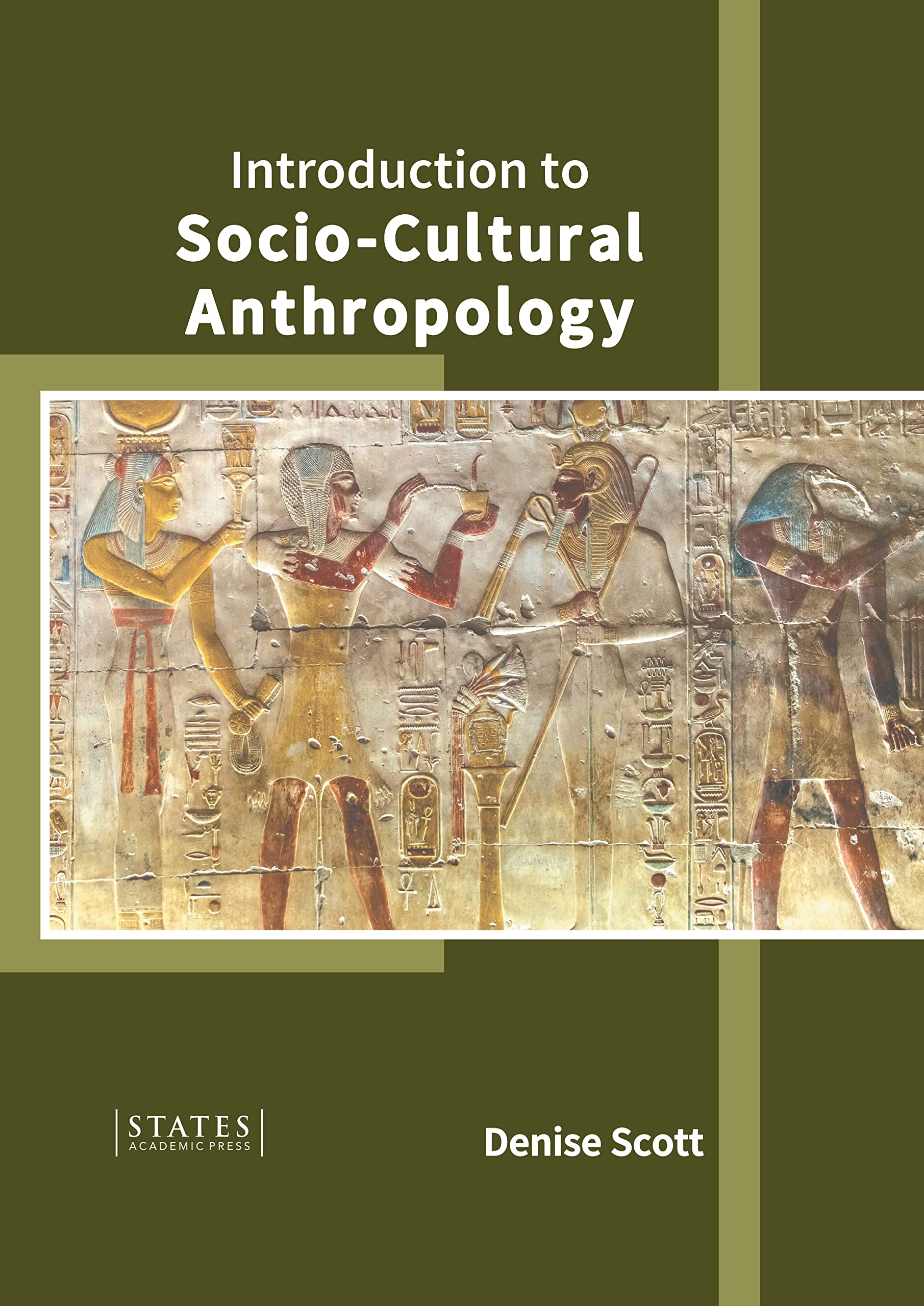 Introduction to Socio-Cultural Anthropology: Scott, Denise: 9781639893119: Amazon.com: Books