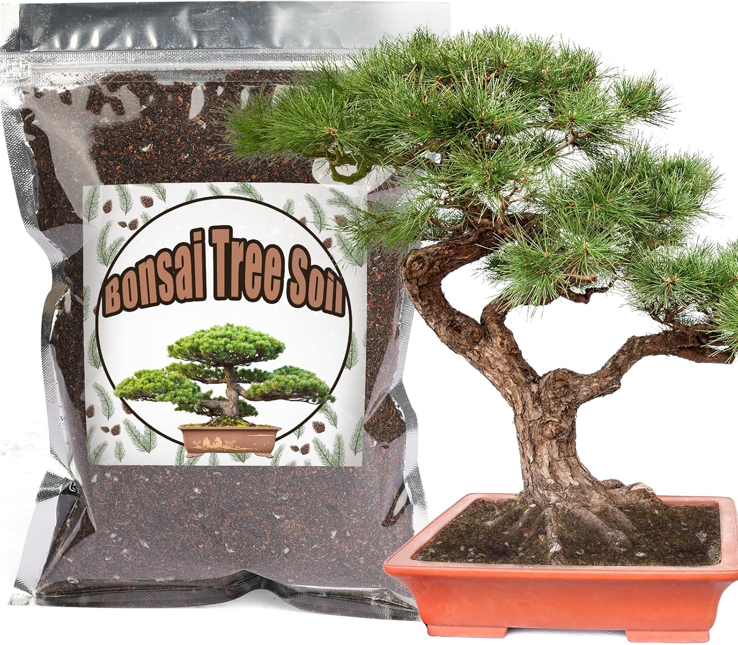 Amazon.com : Doter Bonsai Soil Mix 1qt Ready to Use, Organic Bonsai ...