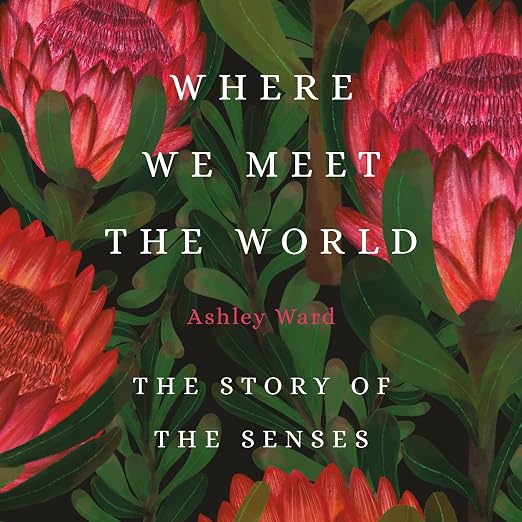 Amazon.com: Where We Meet the World: The Story of the Senses (Audible ...