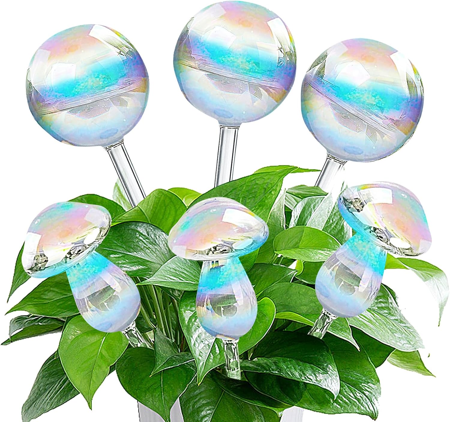 Amazon.com: Srapwati 6 Pcs Plant Watering Globes, 9 Inch Glass ...