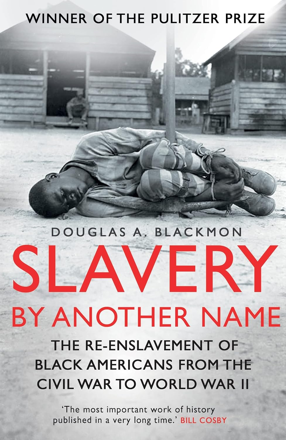 Slavery by Another Name: The re-enslavement of black americans from the ...