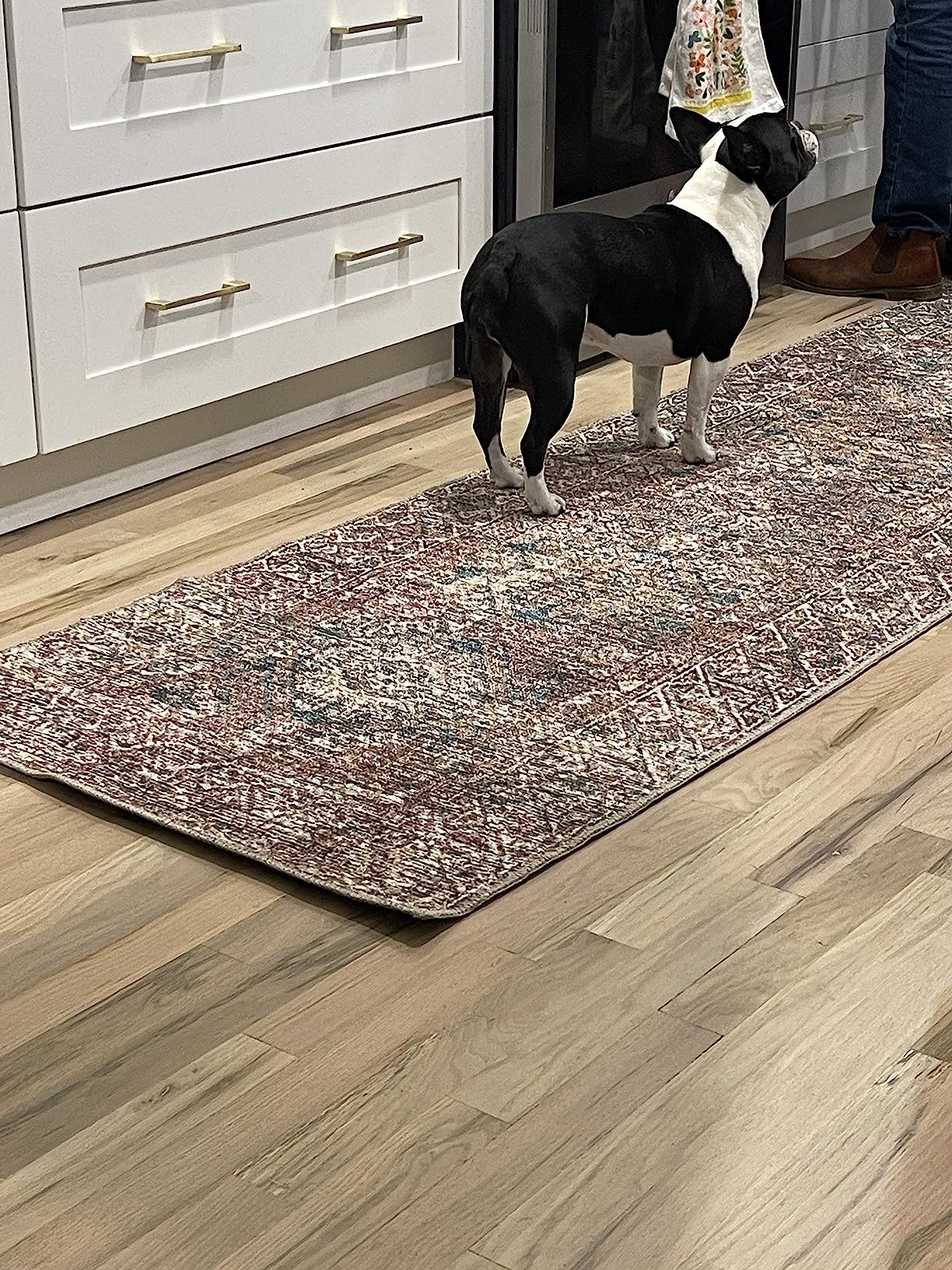 $10/mo - Finance Amber Lewis x Loloi Billie Collection BIL-02 Ocean ...