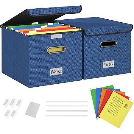 Amazon.com: Forlogic File Box Organizer with lid, Collapsible Linen ...