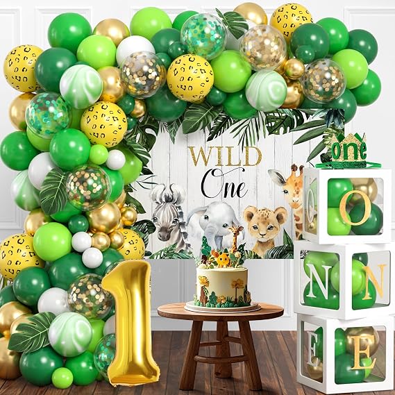 Amazon.com: Winrayk Wild One Birthday Decorations for Boys, First 1st ...