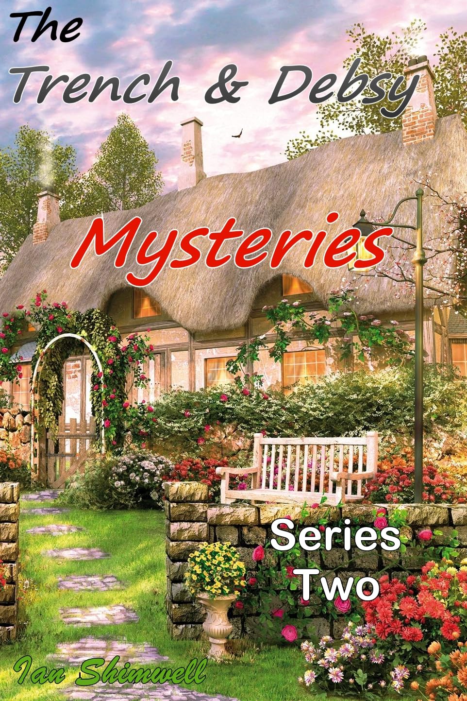 The Trench & Debsy Mysteries Series Two eBook : Shimwell, Ian: Amazon ...