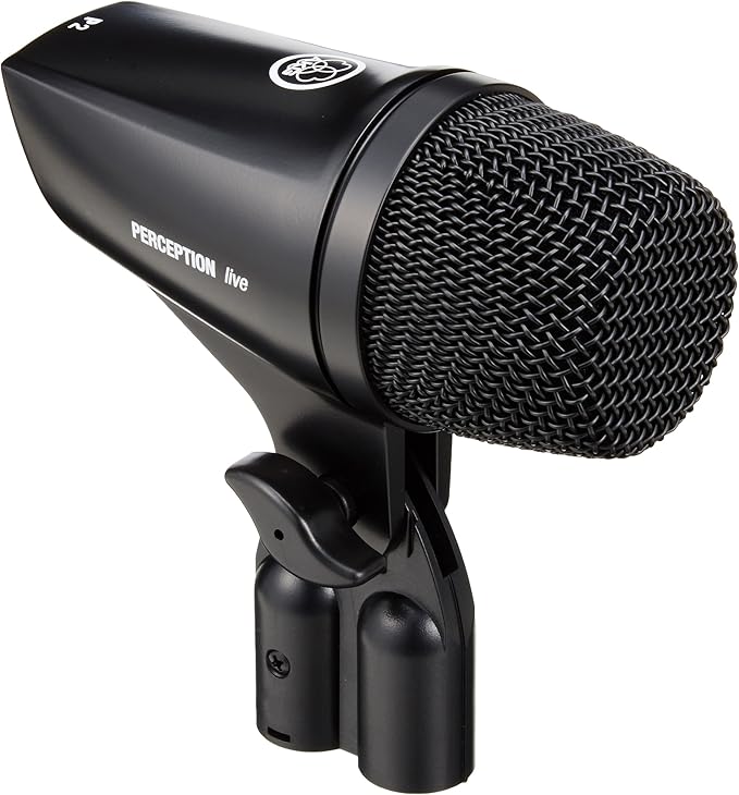 Amazon.com: AKG Perception P3S Vocal Microphone : Musical Instruments