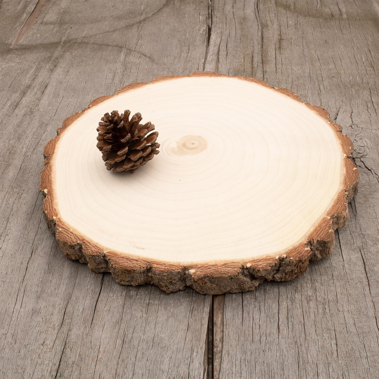 Amazon.com: LEXININ 10 Pack 7-8 Inches Natural Round Wood Slices ...